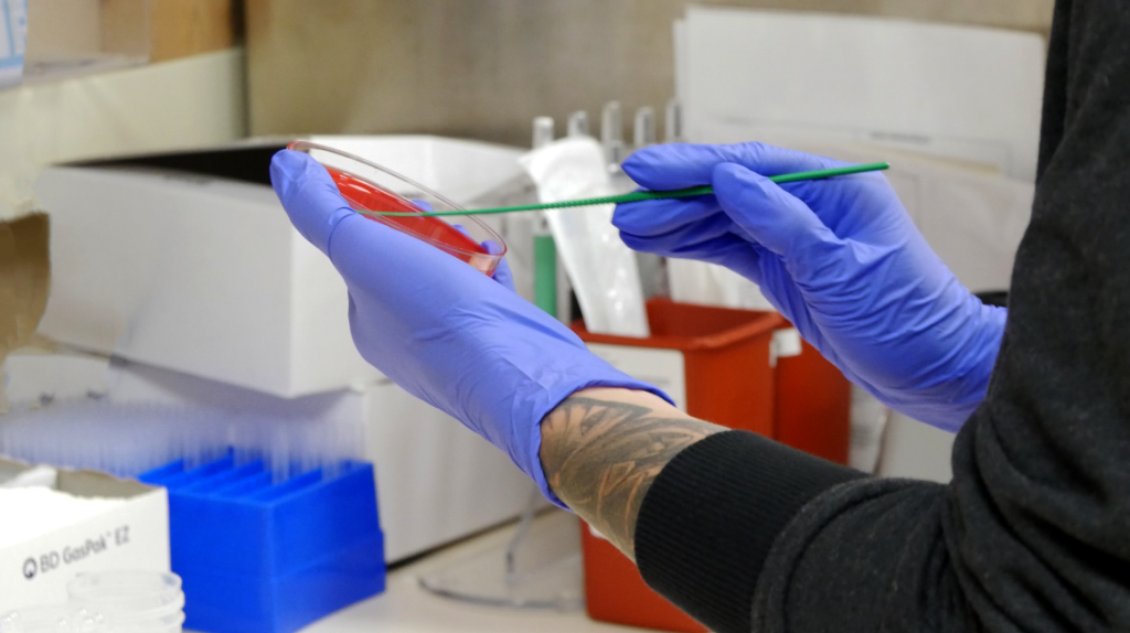 Lab Services | Washington County Hospital & Clinics